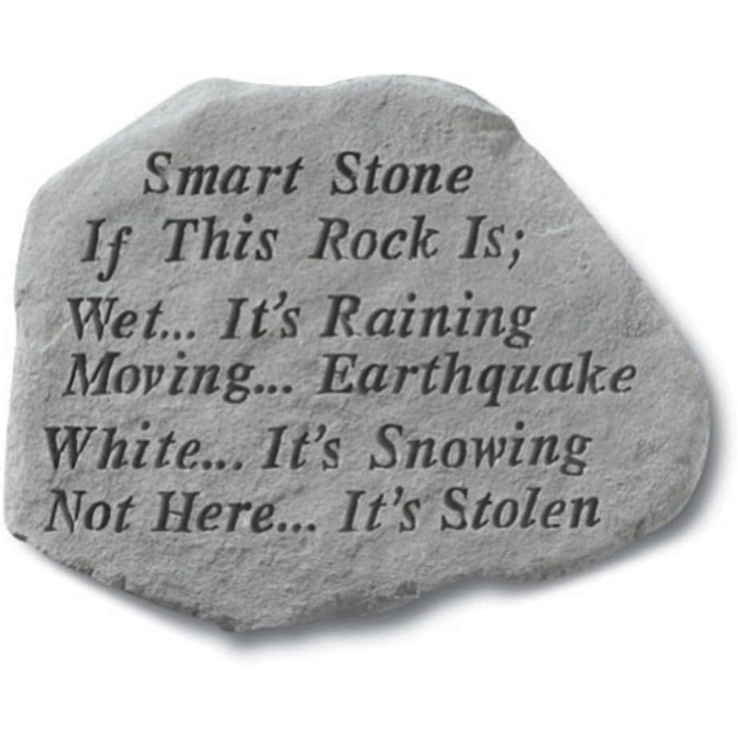 HZJP Smart Stone If This Rock is Wet It's Raining - Walmart.com