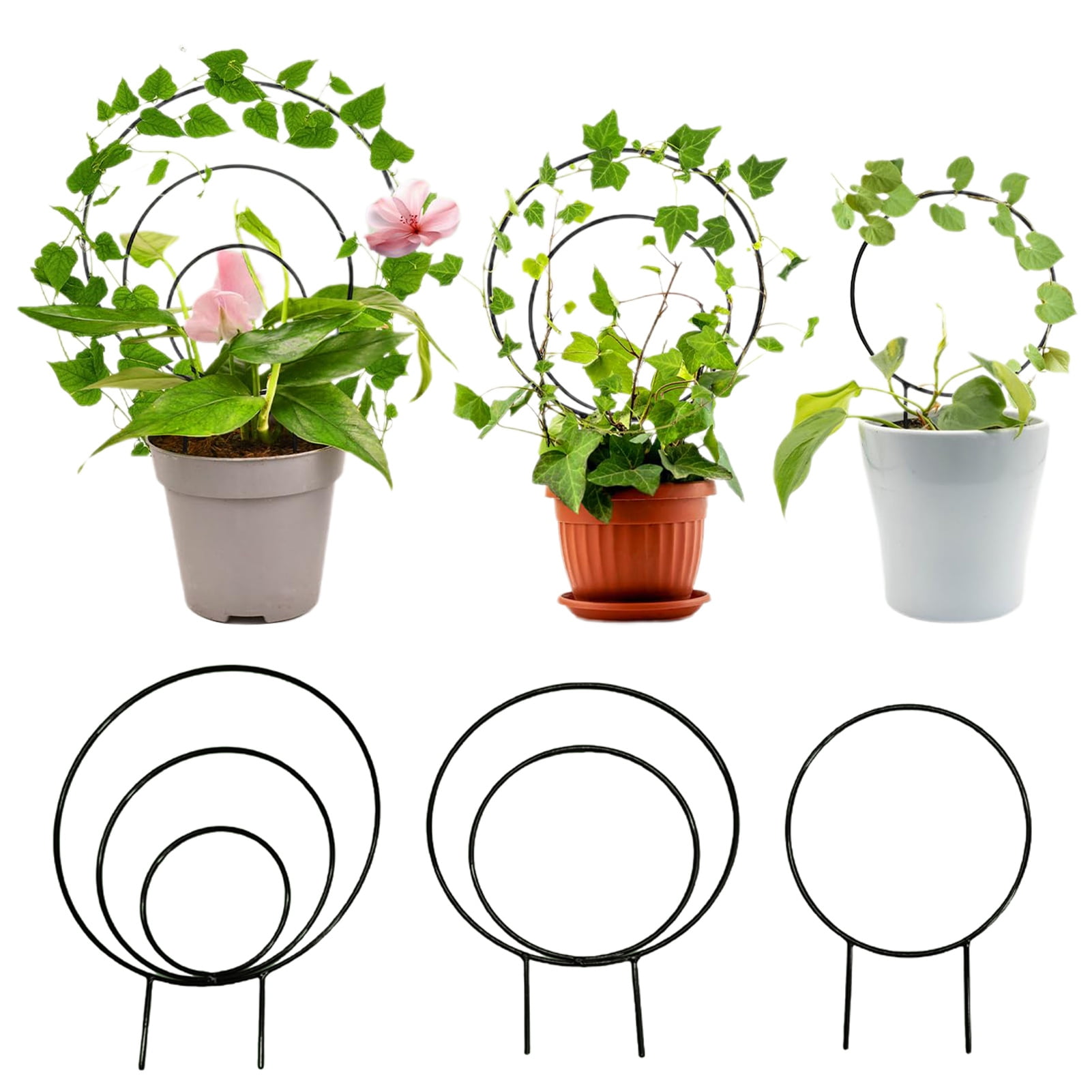 HZLXW 3 Pcs Round Plant Trellis Reusable Metal Houseplant Trellis ...