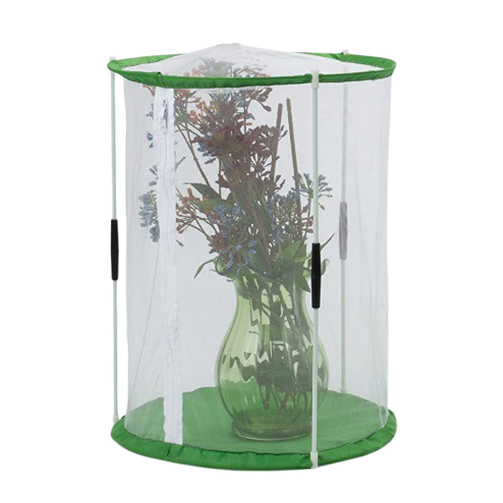 HZLXW Butterfly Habitat Mini Greenhouse for Indoor Outdoor Observation ...