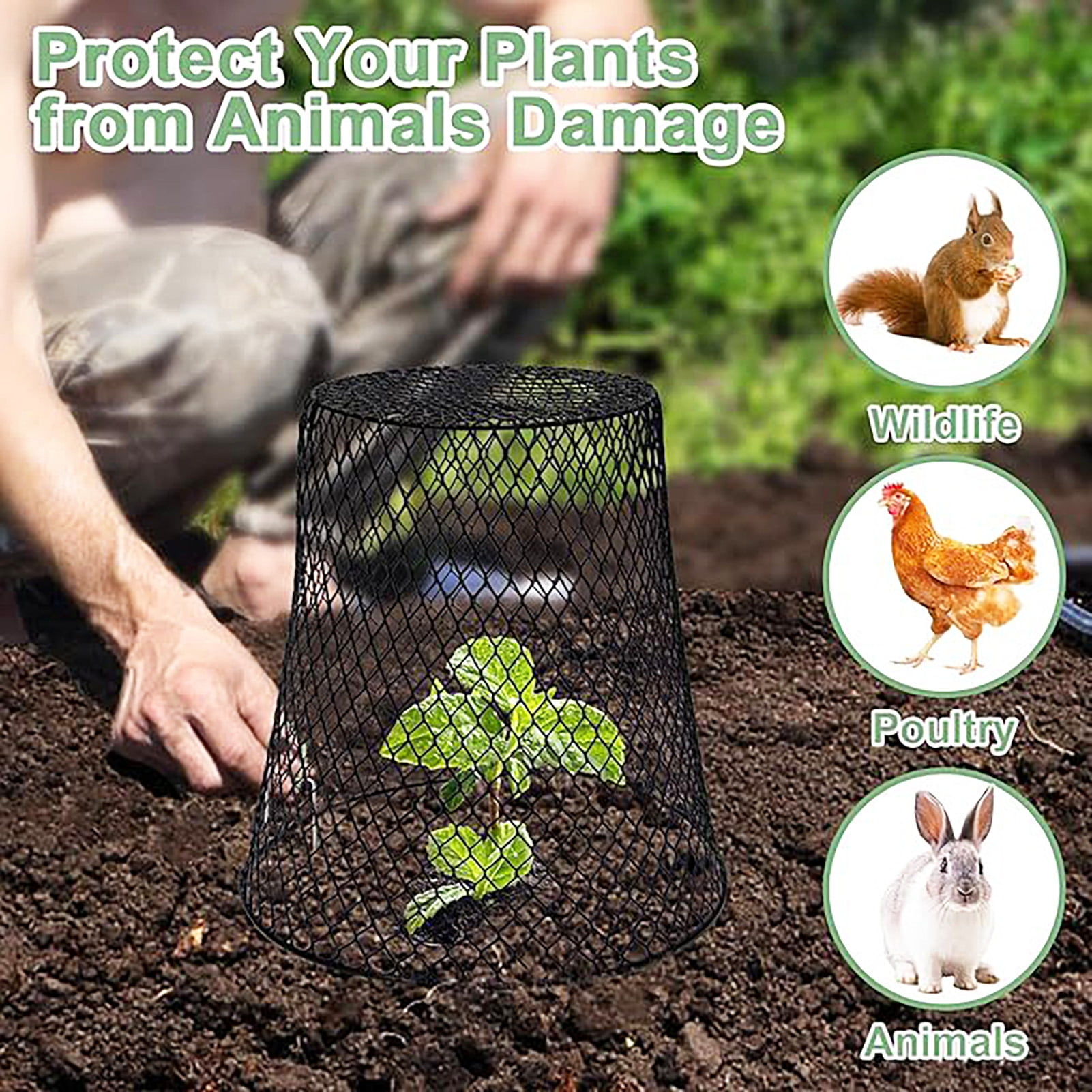 HZLXW Garden Cloches for Plants Wire Cloche Plant Covers from Animals ...