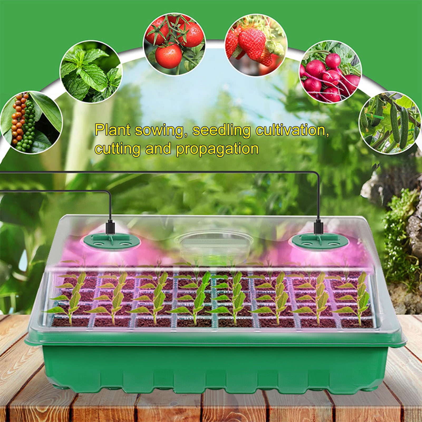 HZLXW Plants Nursery Box Seeds Starter Tray with Humidity Dome ...