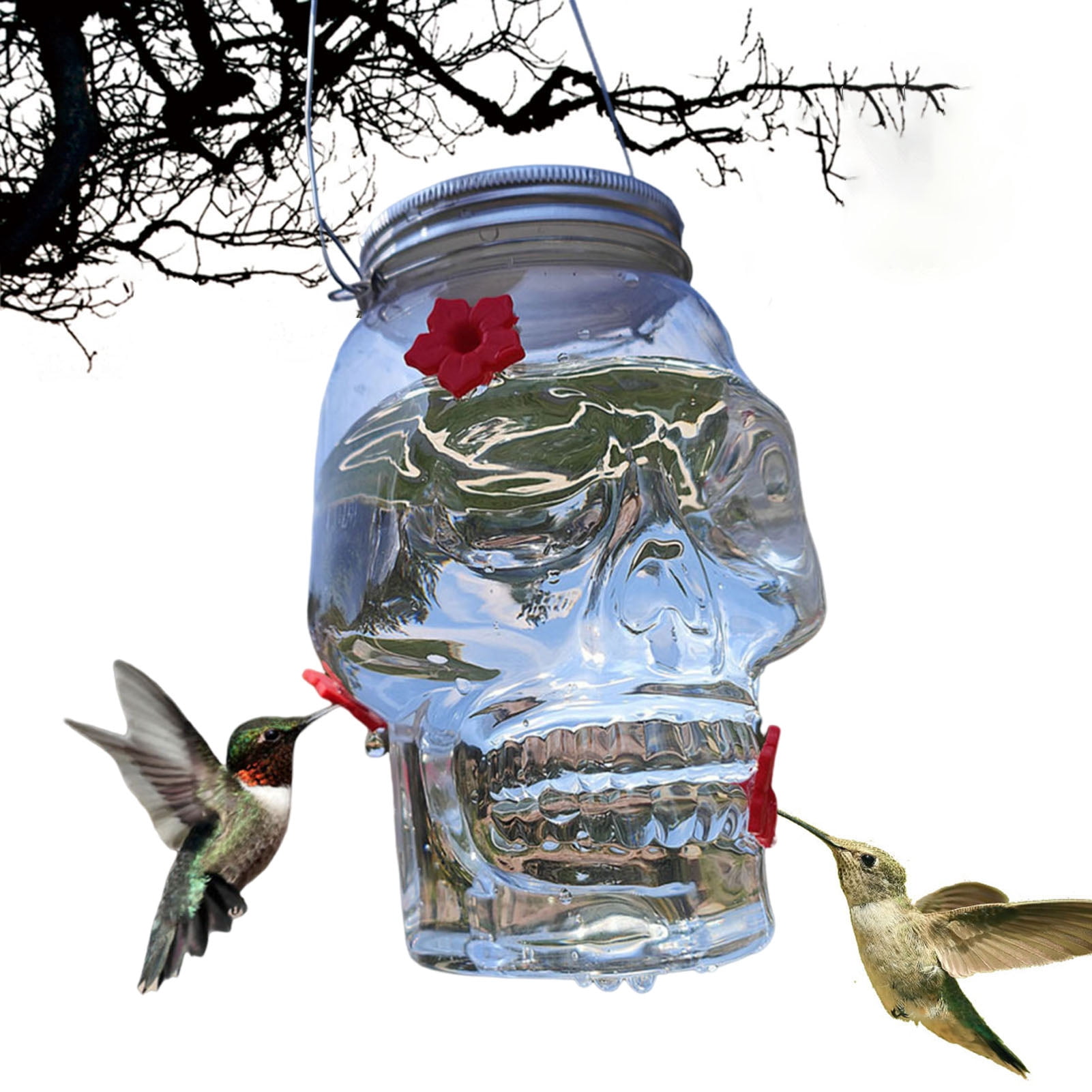 HZLXW Skull Bird Feeder Outdoor Hanging Jar Hummingbird Feeder with 3 ...