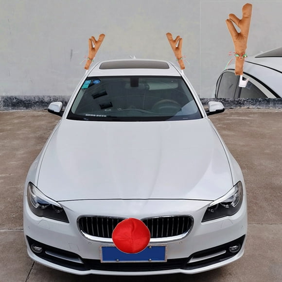 Car Antlers And Red Nose