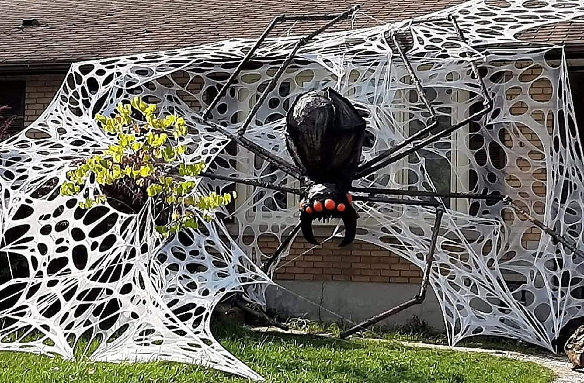 Hadanceo 1 Set Halloween Spider Web with Stakes Glow in The Dark ...