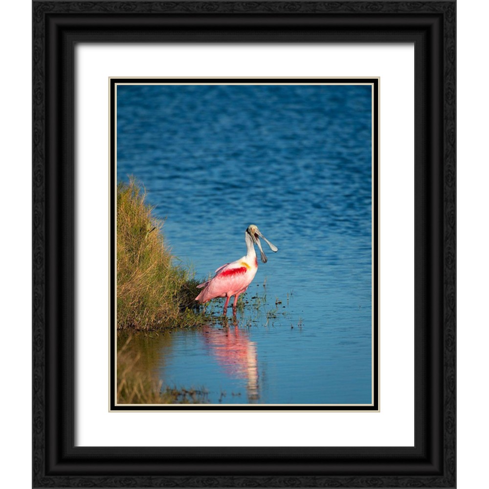 Haddad, Sheila 15x18 Black Ornate Wood Framed with Double Matting ...