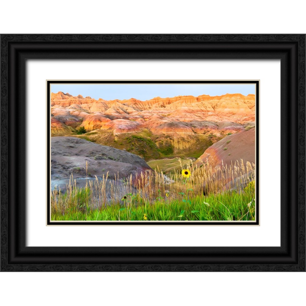 Haddad, Sheila 18x13 Black Ornate Wood Framed with Double Matting ...