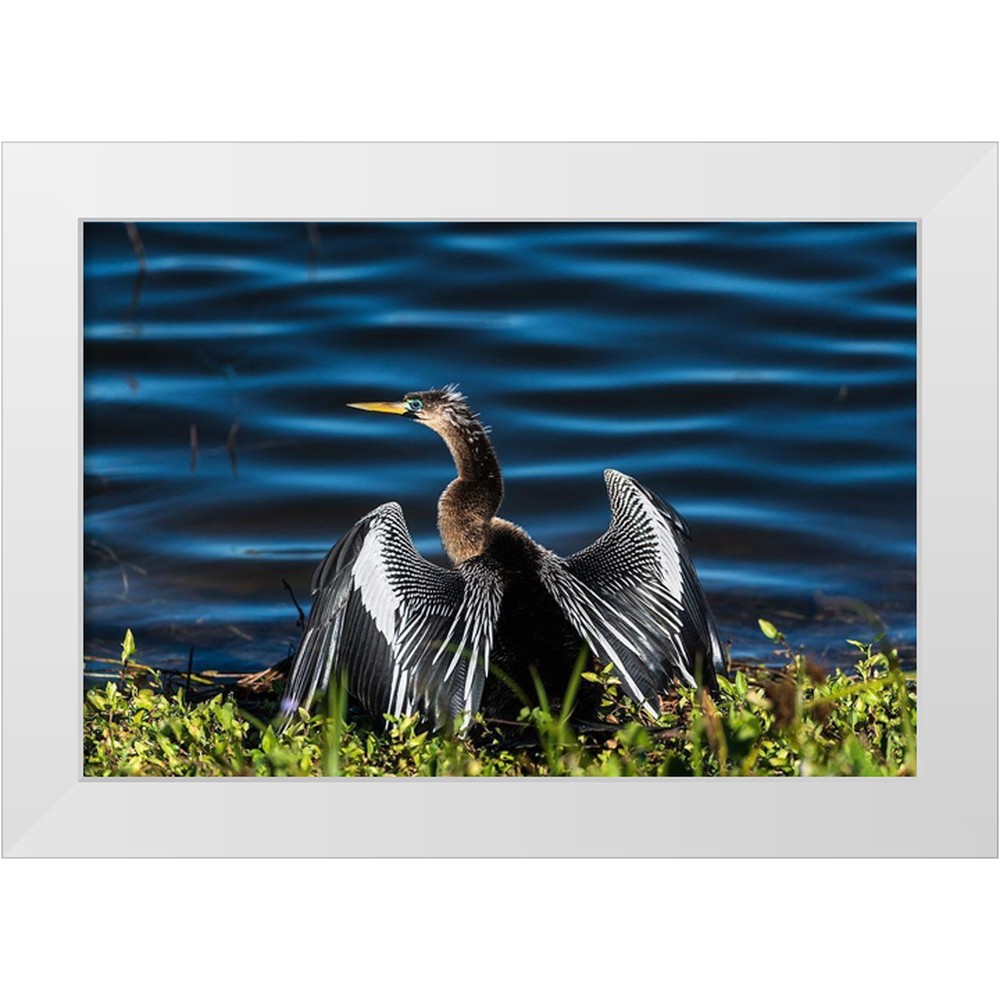 Haddad, Sheila 18x13 White Modern Wood Framed Museum Art Print Titled ...