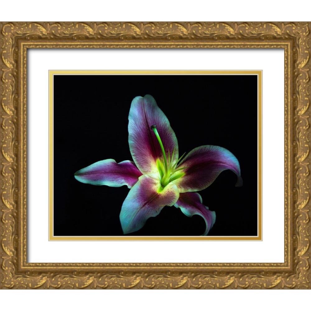 Haddad, Sheila 18x15 Gold Ornate Wood Framed with Double Matting Museum ...