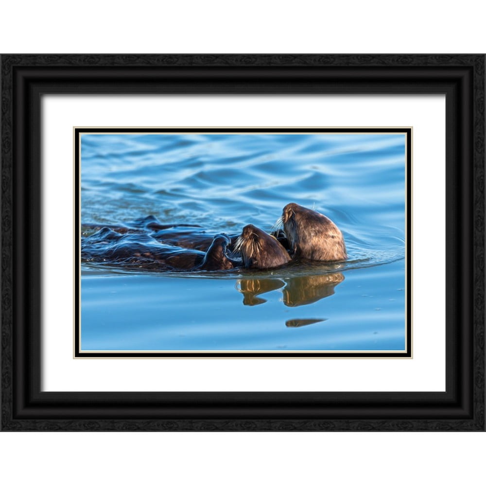 Haddad, Sheila 24x17 Black Ornate Wood Framed with Double Matting ...
