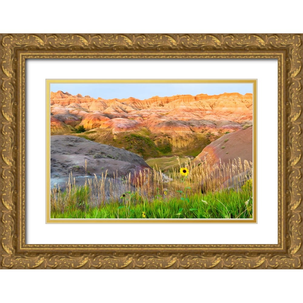Haddad, Sheila 24x17 Gold Ornate Wood Framed with Double Matting Museum ...