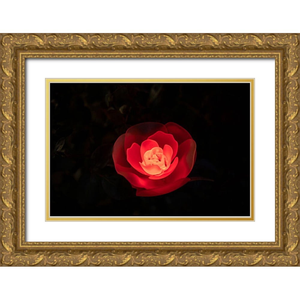 Haddad, Sheila 24x17 Gold Ornate Wood Framed with Double Matting Museum ...