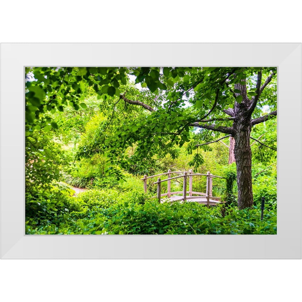 Haddad, Sheila 24x17 White Modern Wood Framed Museum Art Print Titled ...