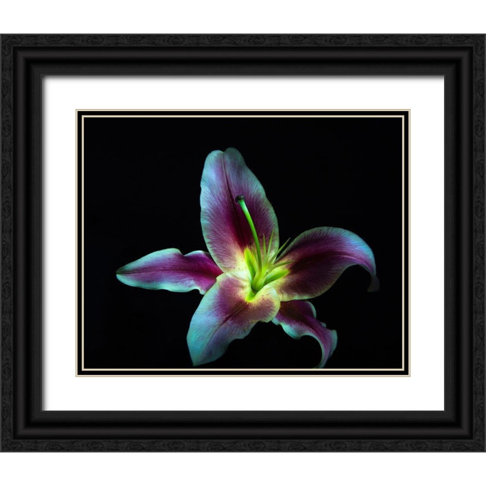 Haddad, Sheila 24x20 Black Ornate Wood Framed with Double Matting ...