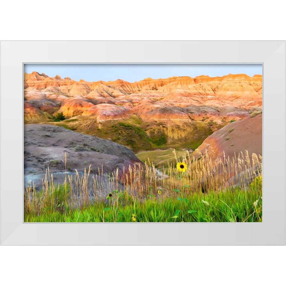 Haddad, Sheila 32x23 White Modern Wood Framed Museum Art Print Titled ...