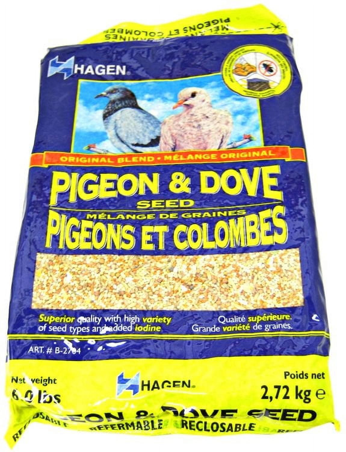 Hagen Pigeon and Dove Seed Bird Food - Walmart.com