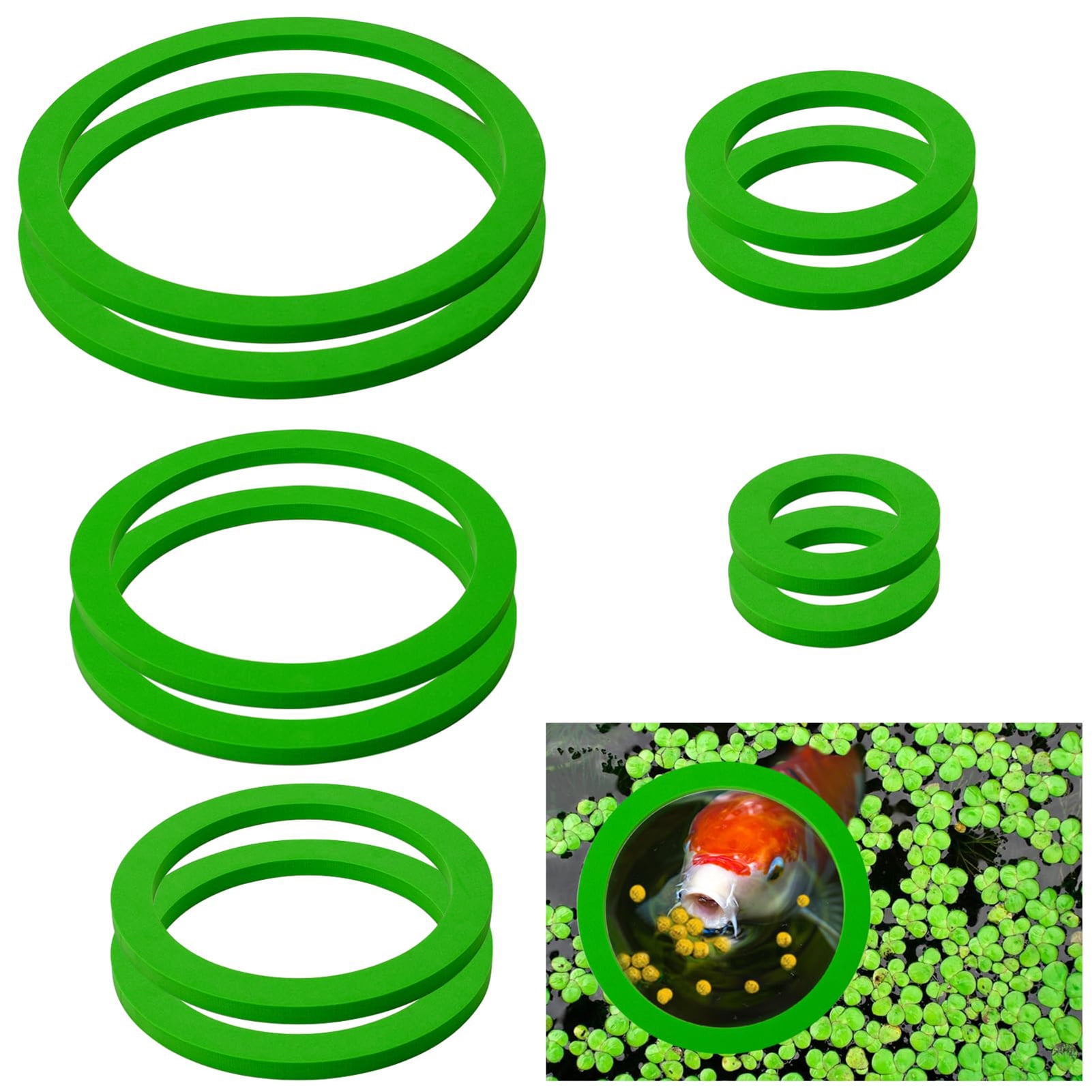 Hahasong 10 Pcs Aquarium Floating Plant Rings - Lightweight, Keep Food ...