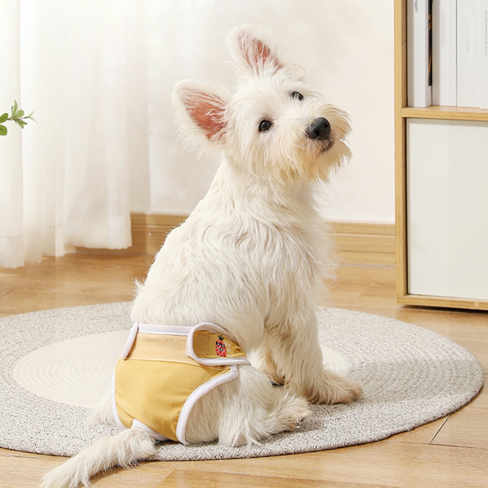 Hahasong Female Dog Diapers - Breathable Mesh Design, Leak-Proof, Water ...