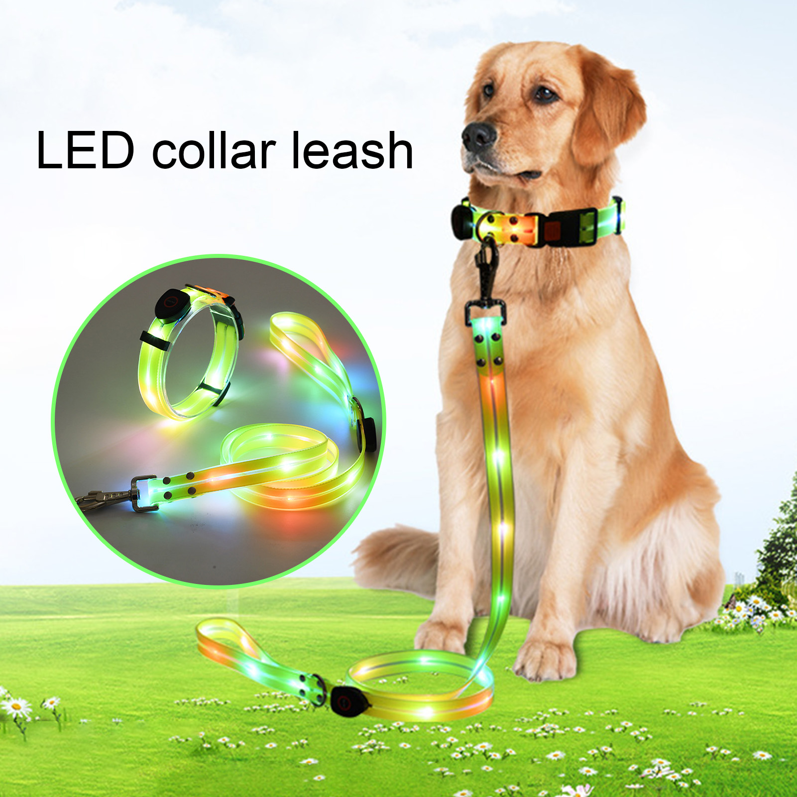 Hahasong LED Light Dog Collar - Adjustable Length, 3 Light Modes, USB ...