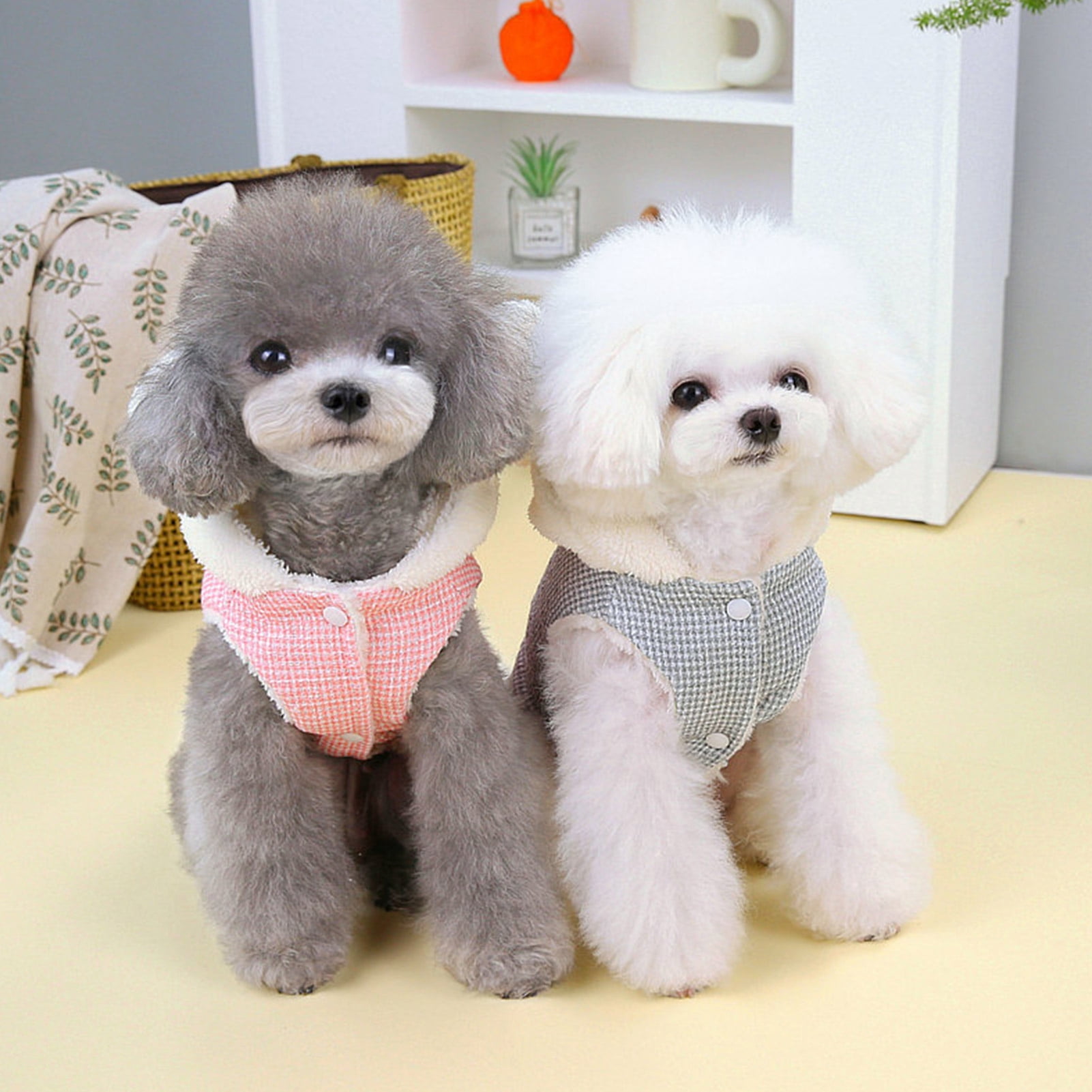 Hahasong Pet Cotton Coat Button Closure - Comfortable Cute Plush Ear ...