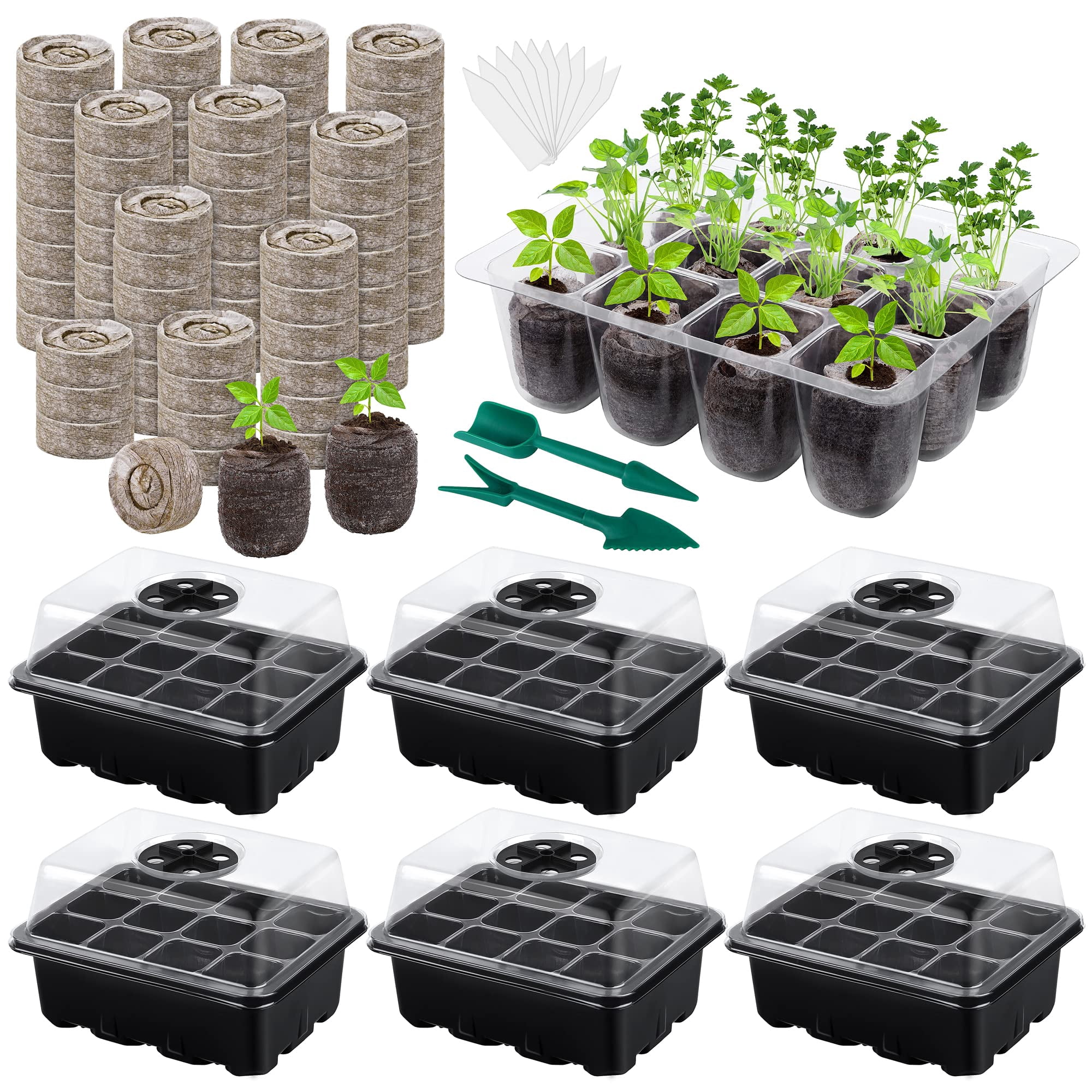 Hahood 6 Pack TWE5 12-Cells Seed Starter Tray Kit Dome and Base ...