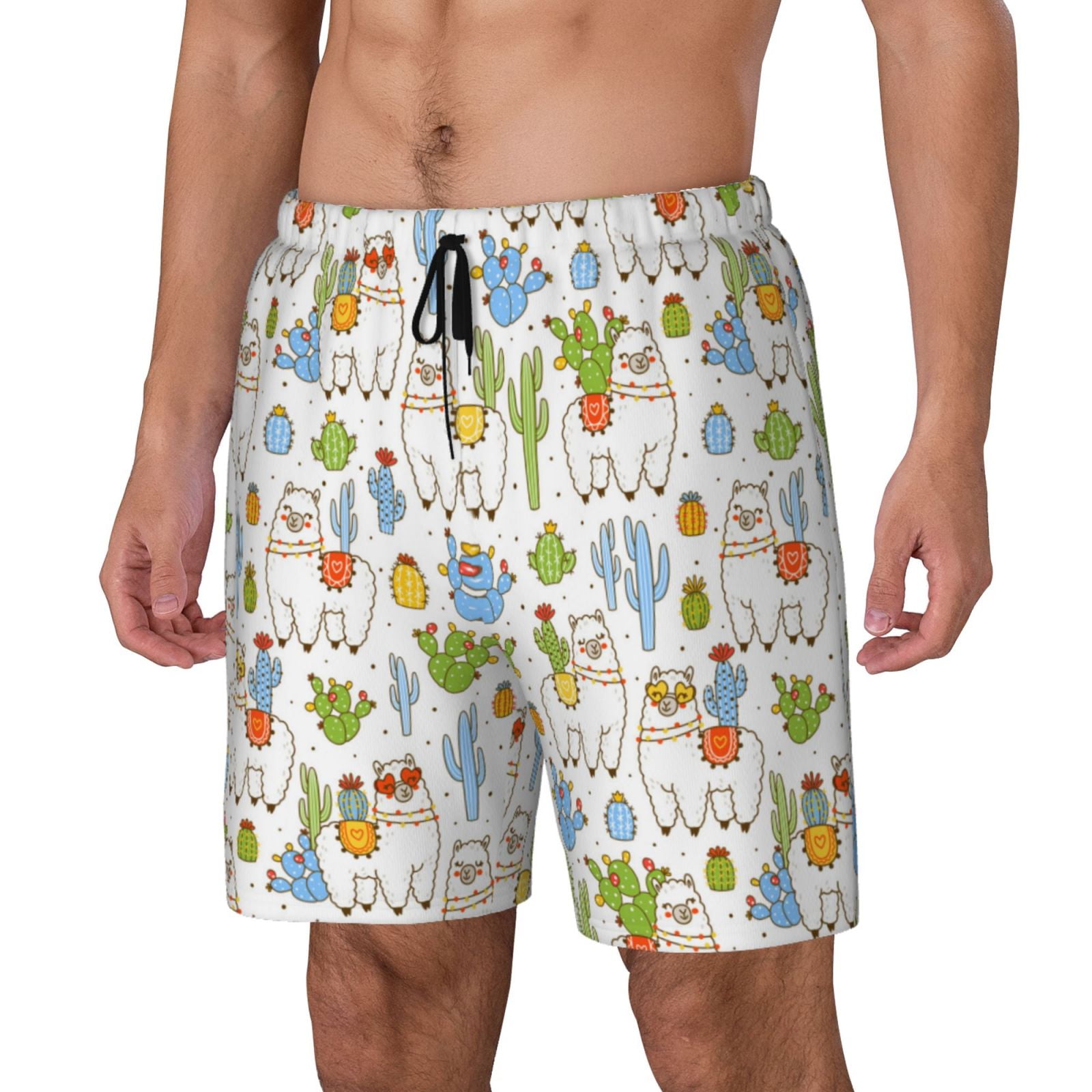 Haiem Cactus Plants Mens Swim Trunks with Compression Liner 2 in 1 ...