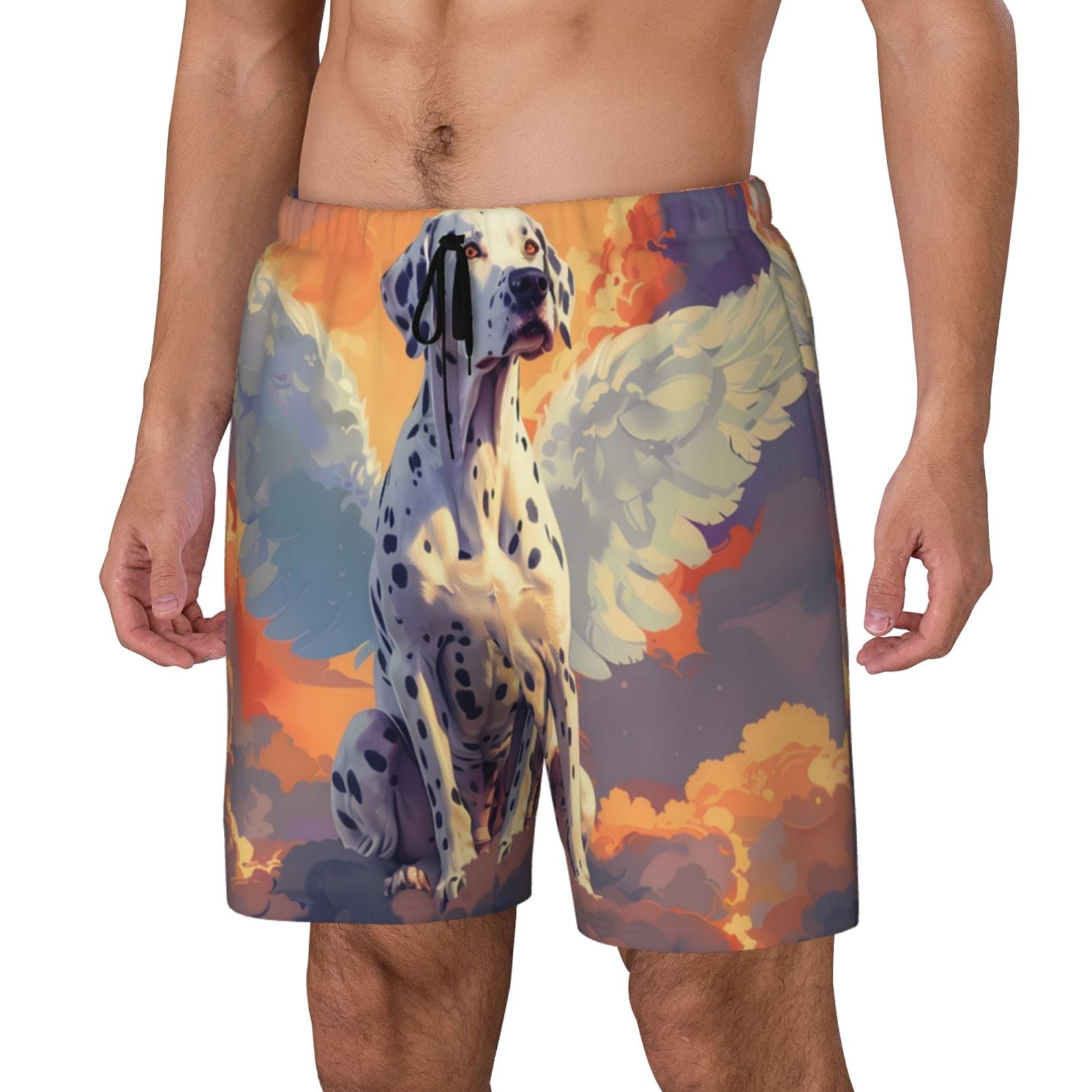 Haiem Colorful Cloud Spotted Dog Mens Swim Trunks with Compression ...