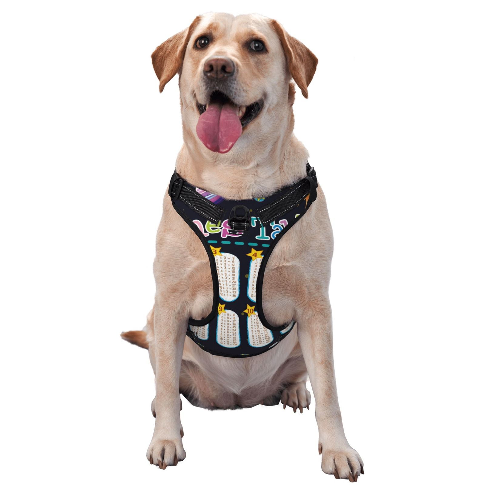 Haiem Space Math Times Tables Pattern No-Pull Dog Harness Reflective ...