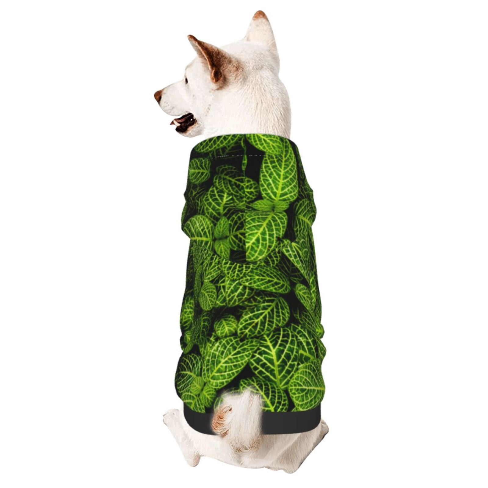 Haiem Tiny Green Fern Leaves for Winter Dog Hoodie Sweatshirts with ...