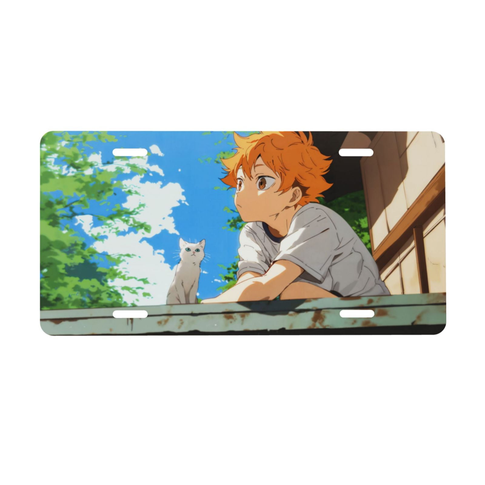 Haikyuu Hinata Shoyo License Plate, Car Front License Plates With 4 ...
