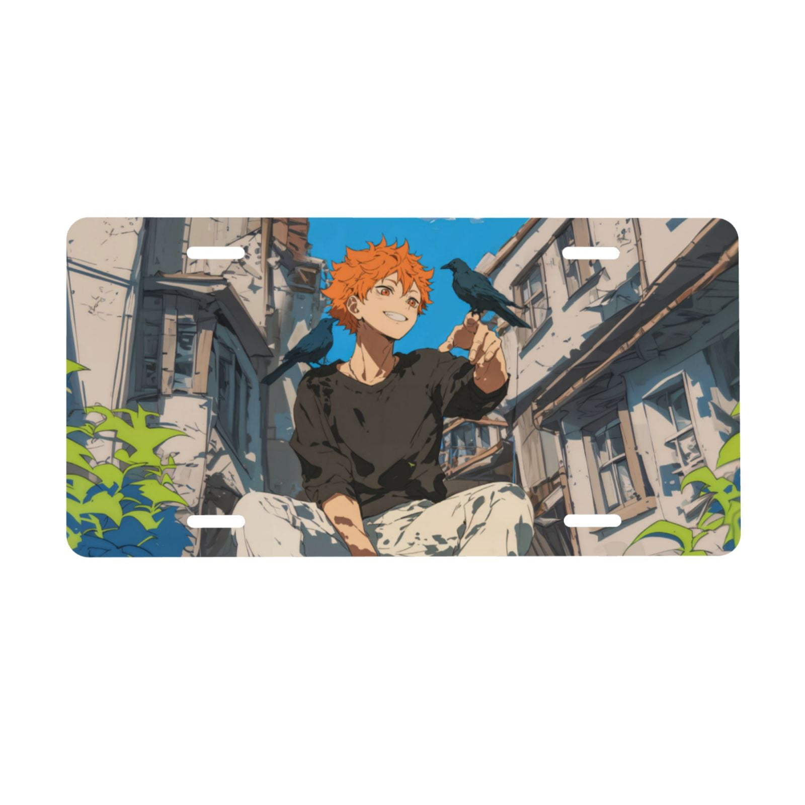 Haikyuu Hinata Shoyo License Plate, Car Front License Plates With 4 ...