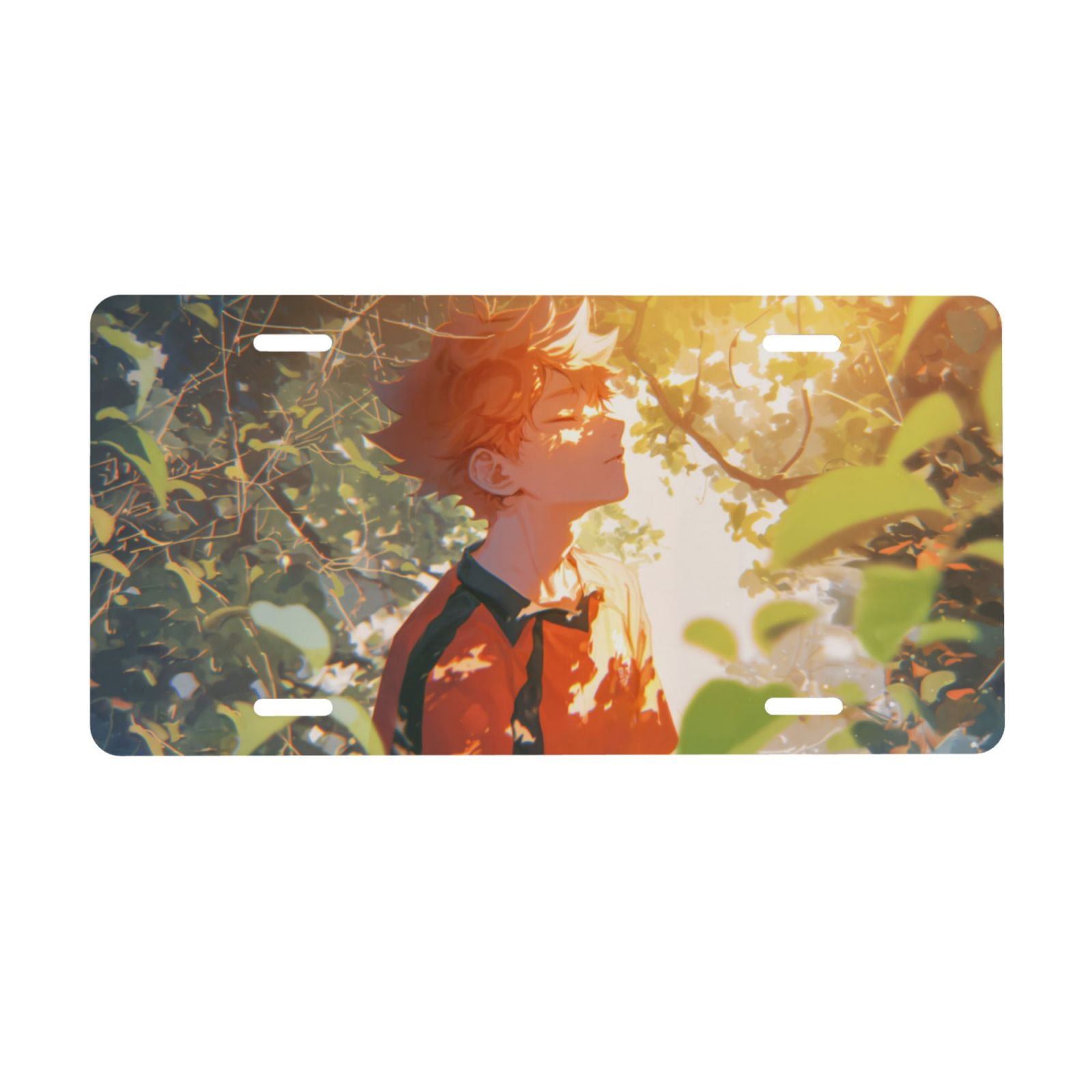 Haikyuu Hinata Shoyo License Plate, Car Front License Plates With 4 ...