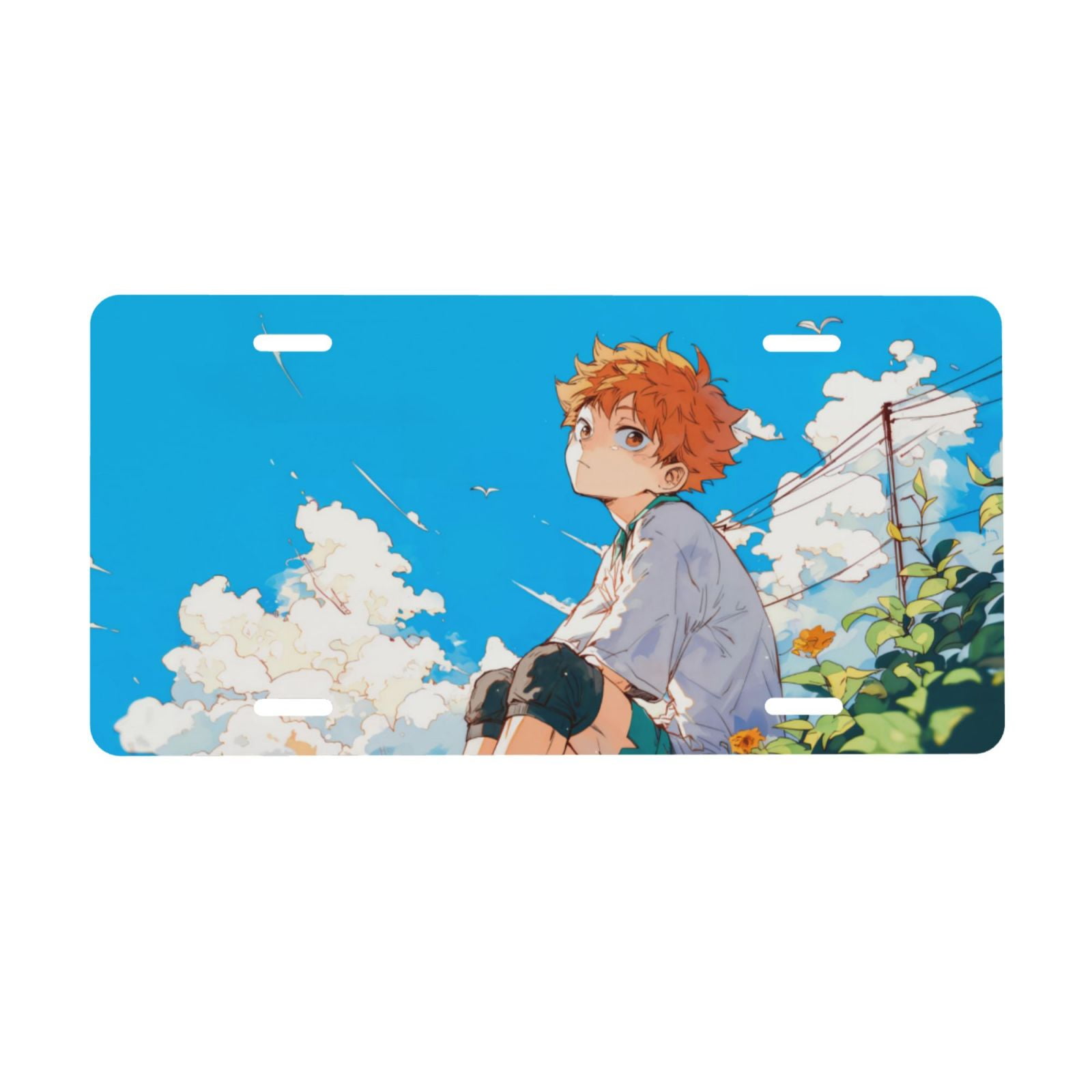 Haikyuu Hinata Shoyo License Plate, Car Front License Plates With 4 ...