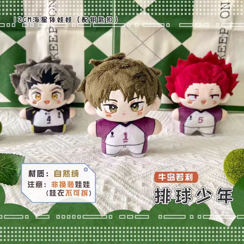 Haikyuu Volleyball Plush Dolls Miya Atsumu Sugawara Koushi Akaashi ...