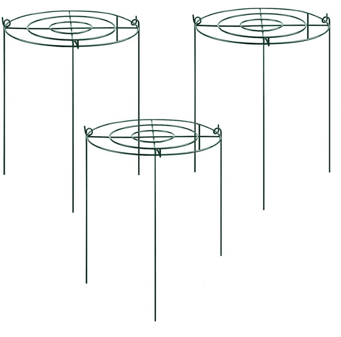 Haimni 3Pcs Plant Climbing Frame Hydrangea Rose Bracket Creative ...