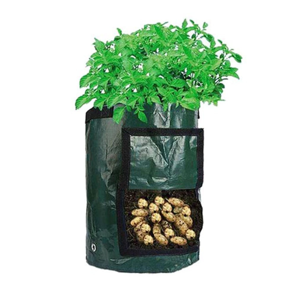 Haimni 6Pc Potato Planting Bag Round Garden Window Potato Tomato ...