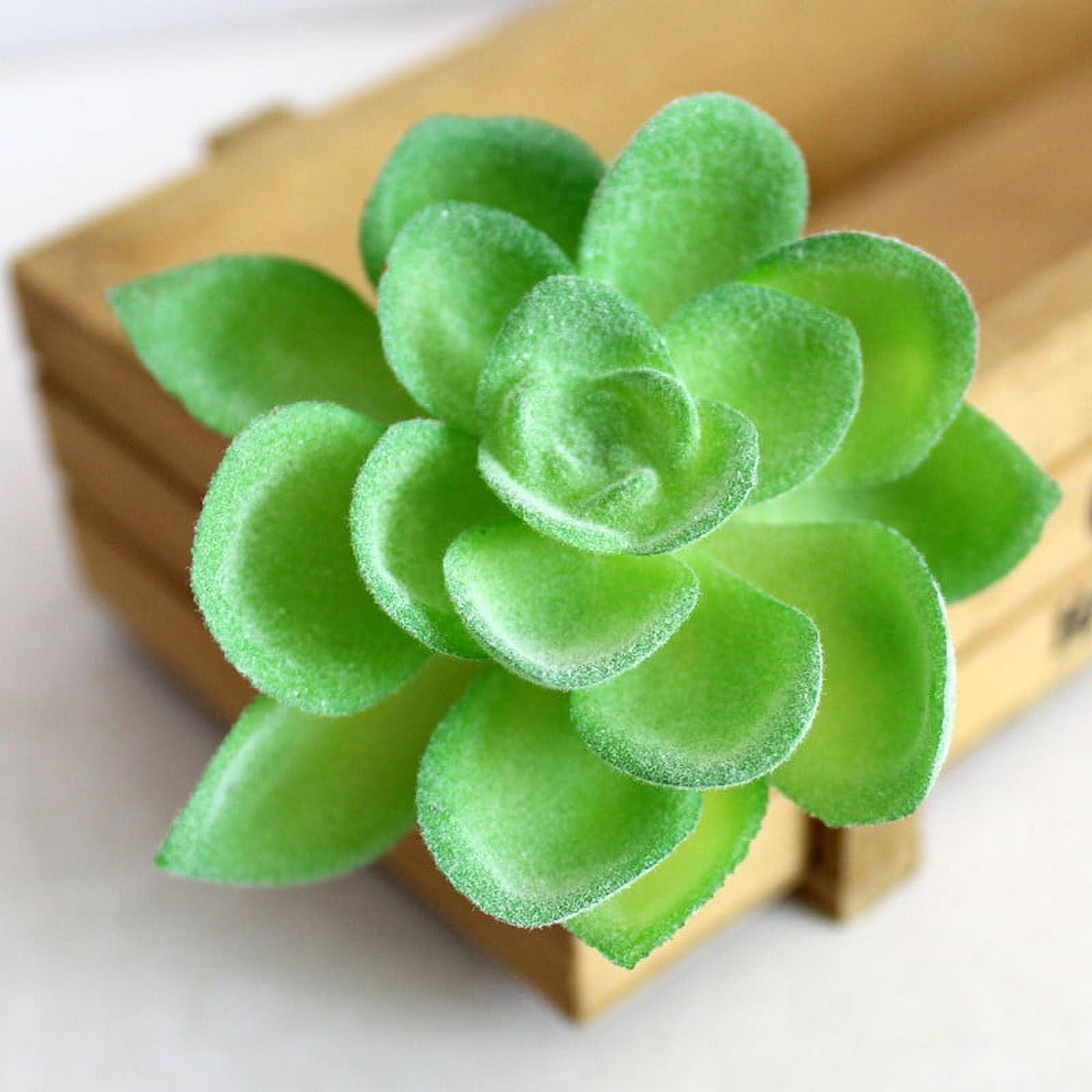 Haimni Artifical Plastic Succulent Plant Echeveria Flower Home Office ...