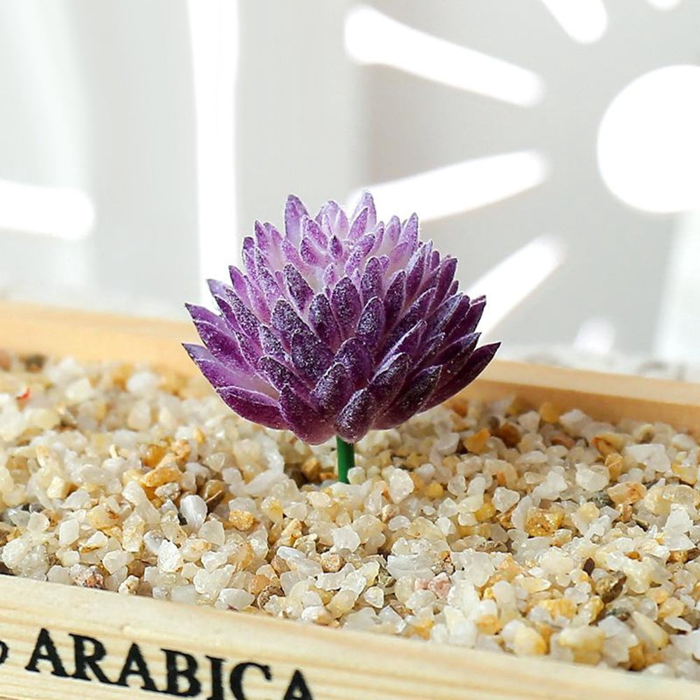 Haimni Artificial Succulents Plant Simulation Mini Fake Succulents ...