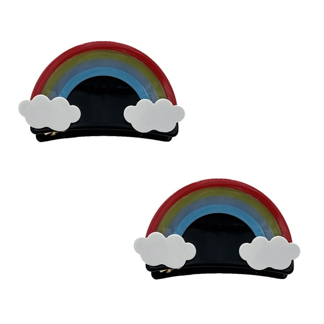 Hair Claw Two Pack Rainbow Acrylic Hair Claws Cute Clips for Women ...