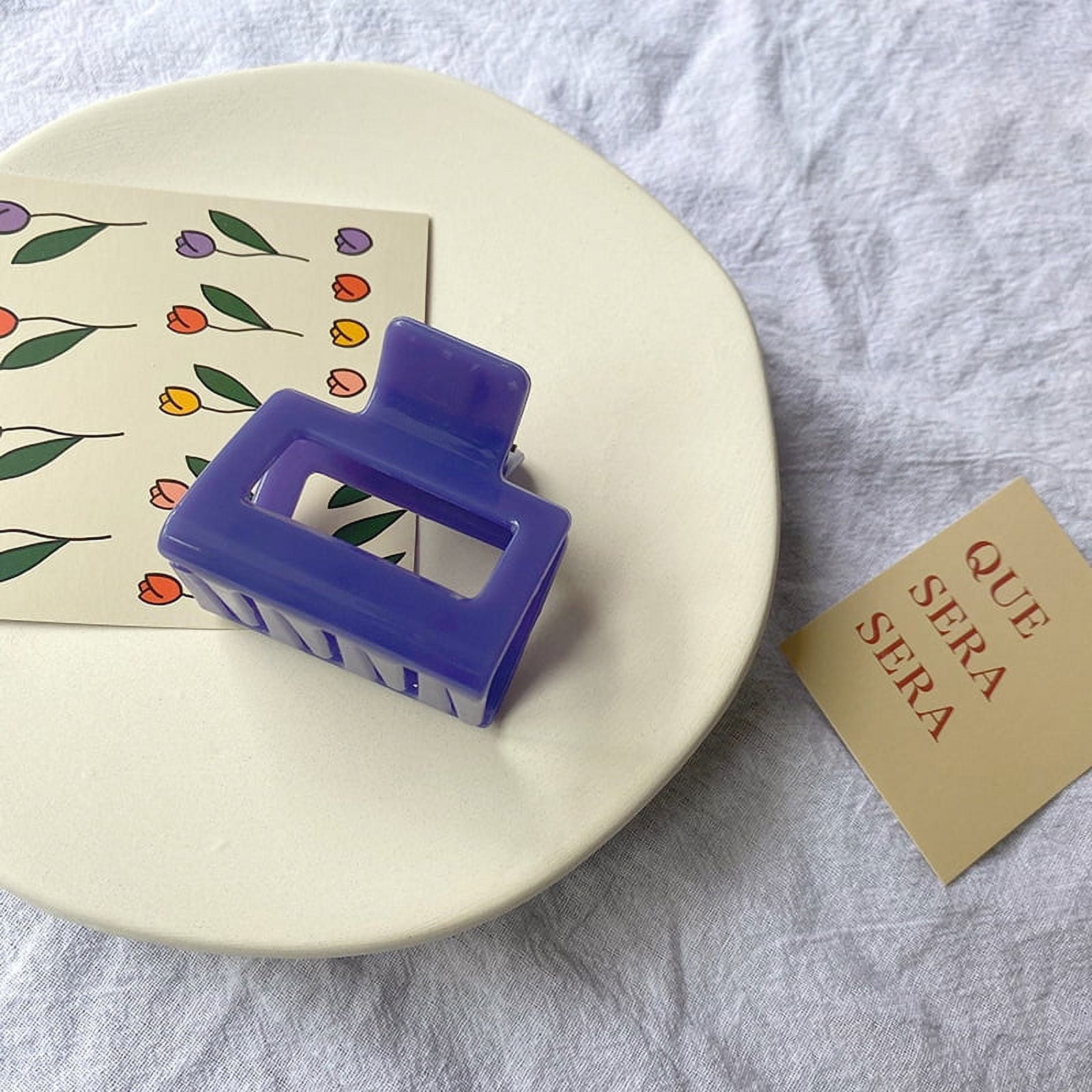 Hair Claws, Hair Clips Barrettes Acrylic Simple Cute French Design Hair ...