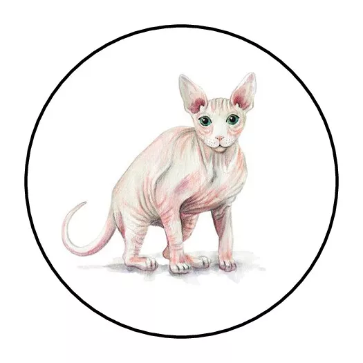 Hairless Sphynx Cat Stickers Gift For You - Decorate Laptops, Water ...
