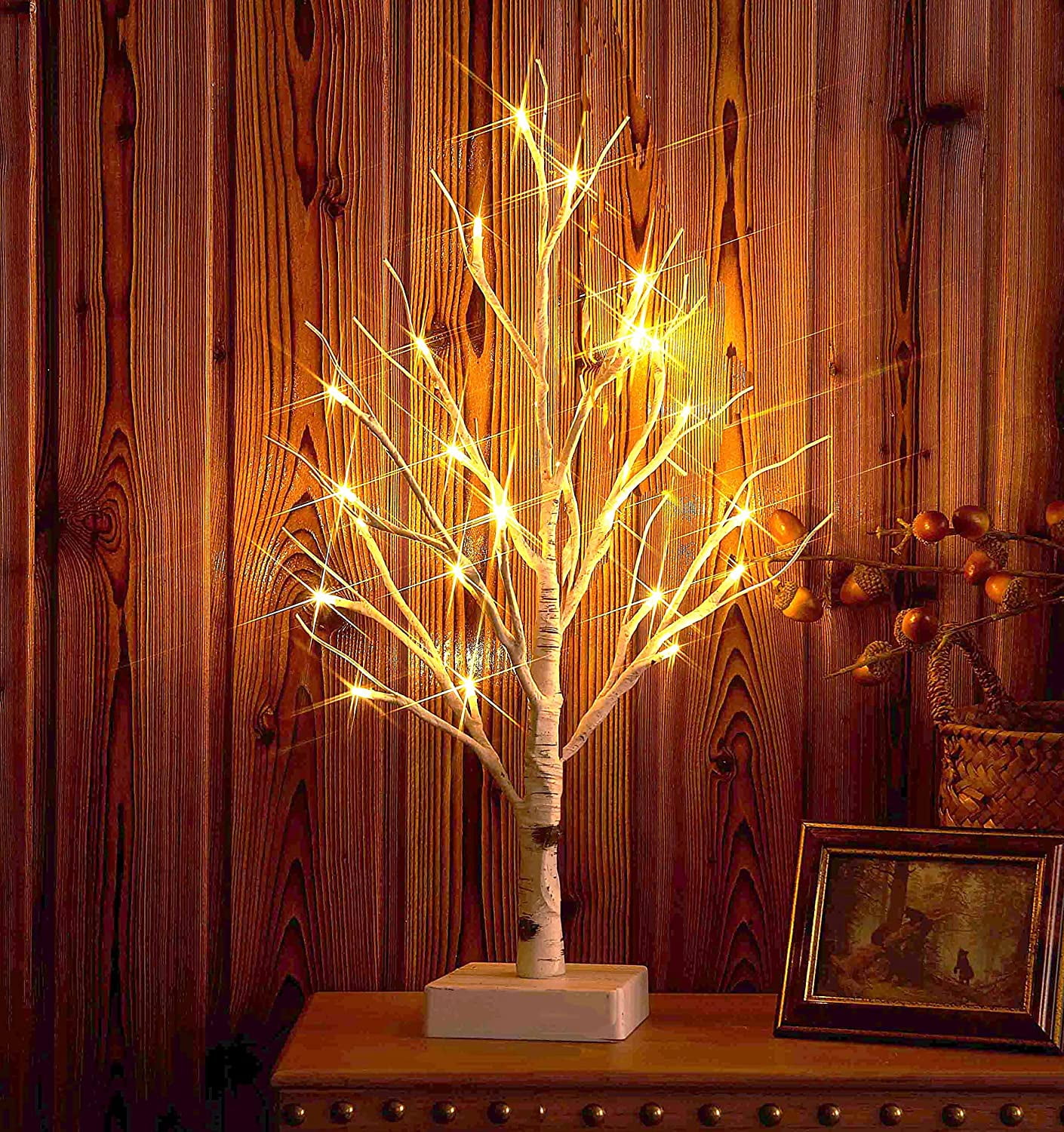 Hairui Lighted Birch Tree with Timer 24 LED 18IN Battery Operated Pre ...