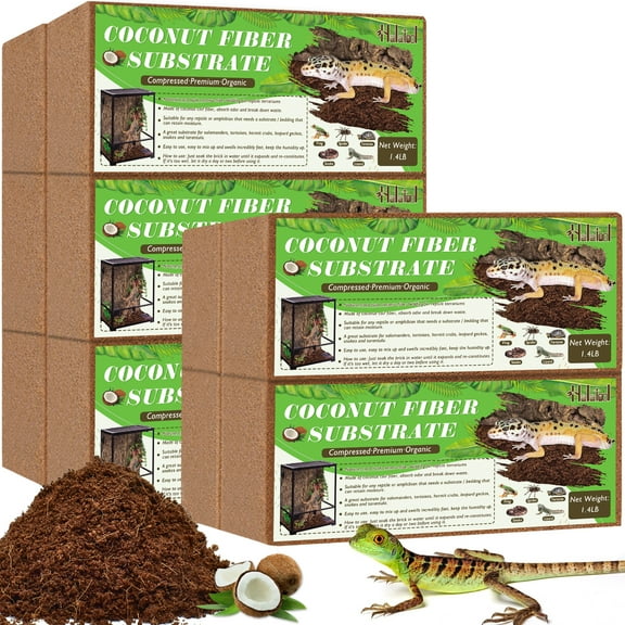 2LBS Leca Balls Terrarium Substrate for Reptiles, Organic Lightweight ...