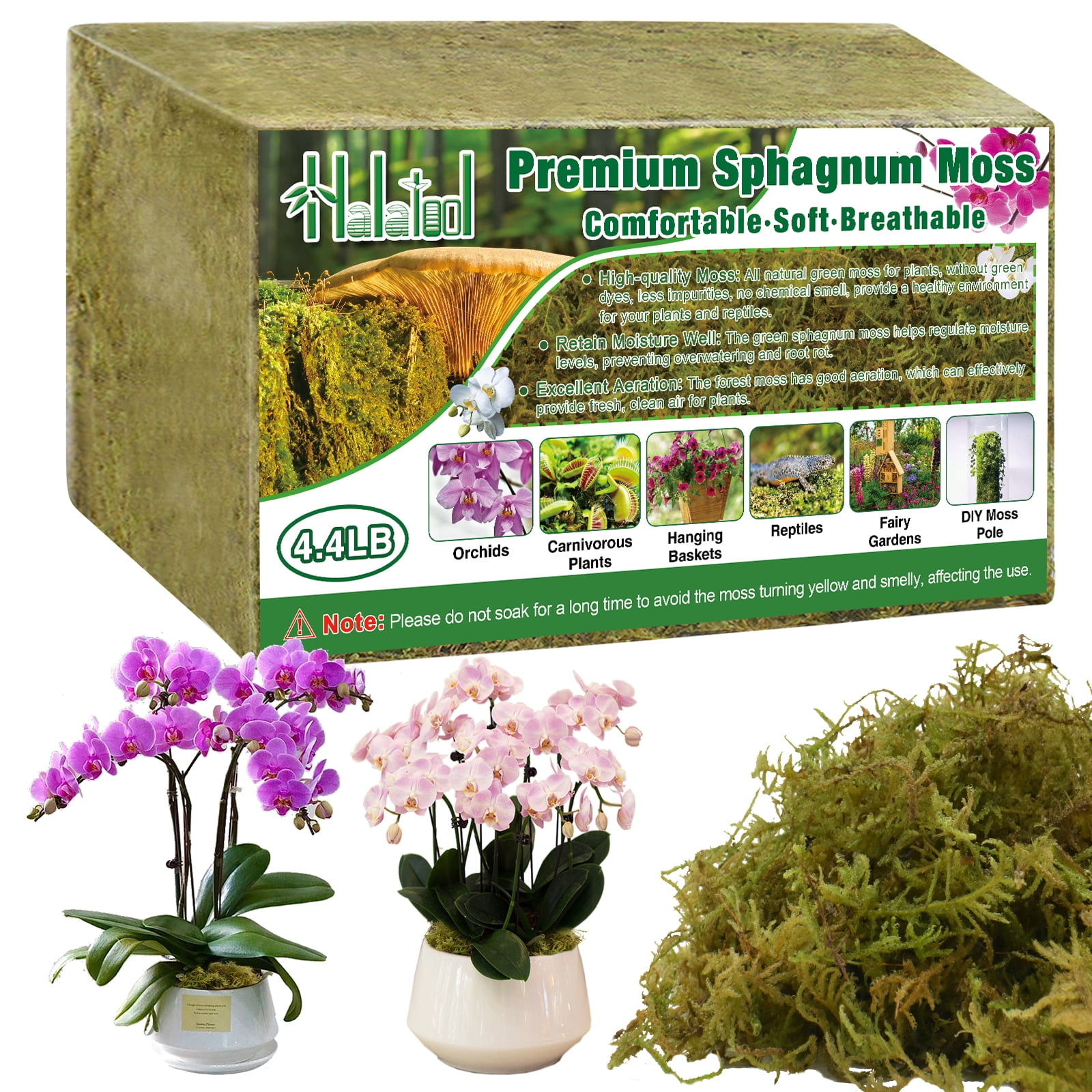 Halatool 4.4LB Green Forest Moss- 25QT Natural Sphagnum Moss for Plants Fluffy Orchid Moss for ...