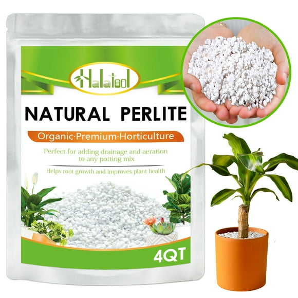 Perlite in Soil - Walmart.com