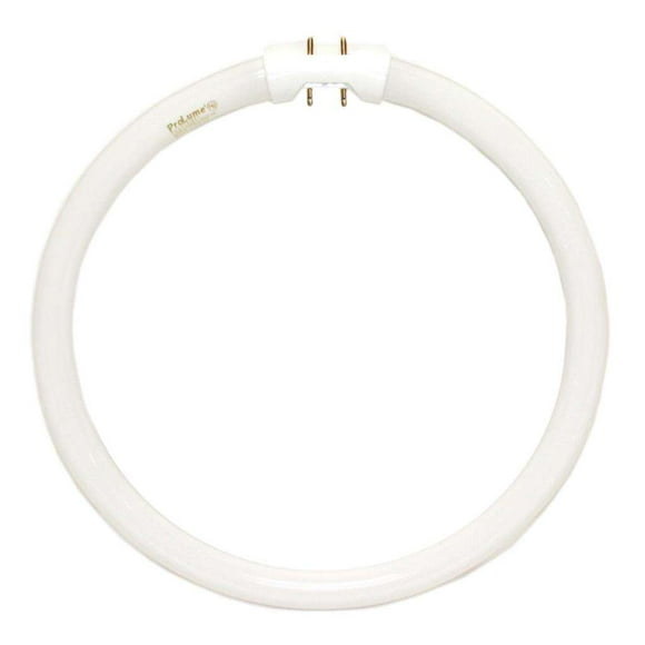 Circular Fluorescent Light Bulbs