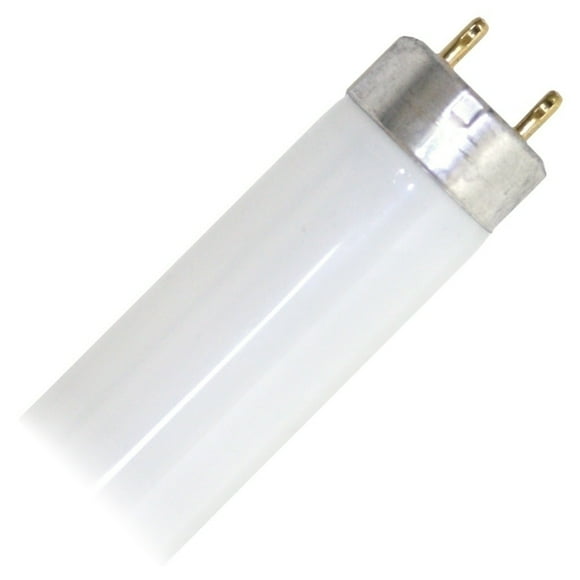 T8 Fluorescent Light Bulbs