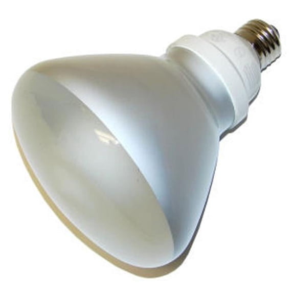 Halco Lighting 12V 300W R40 Incandescent Flood Light Bulb, Medium Base ...