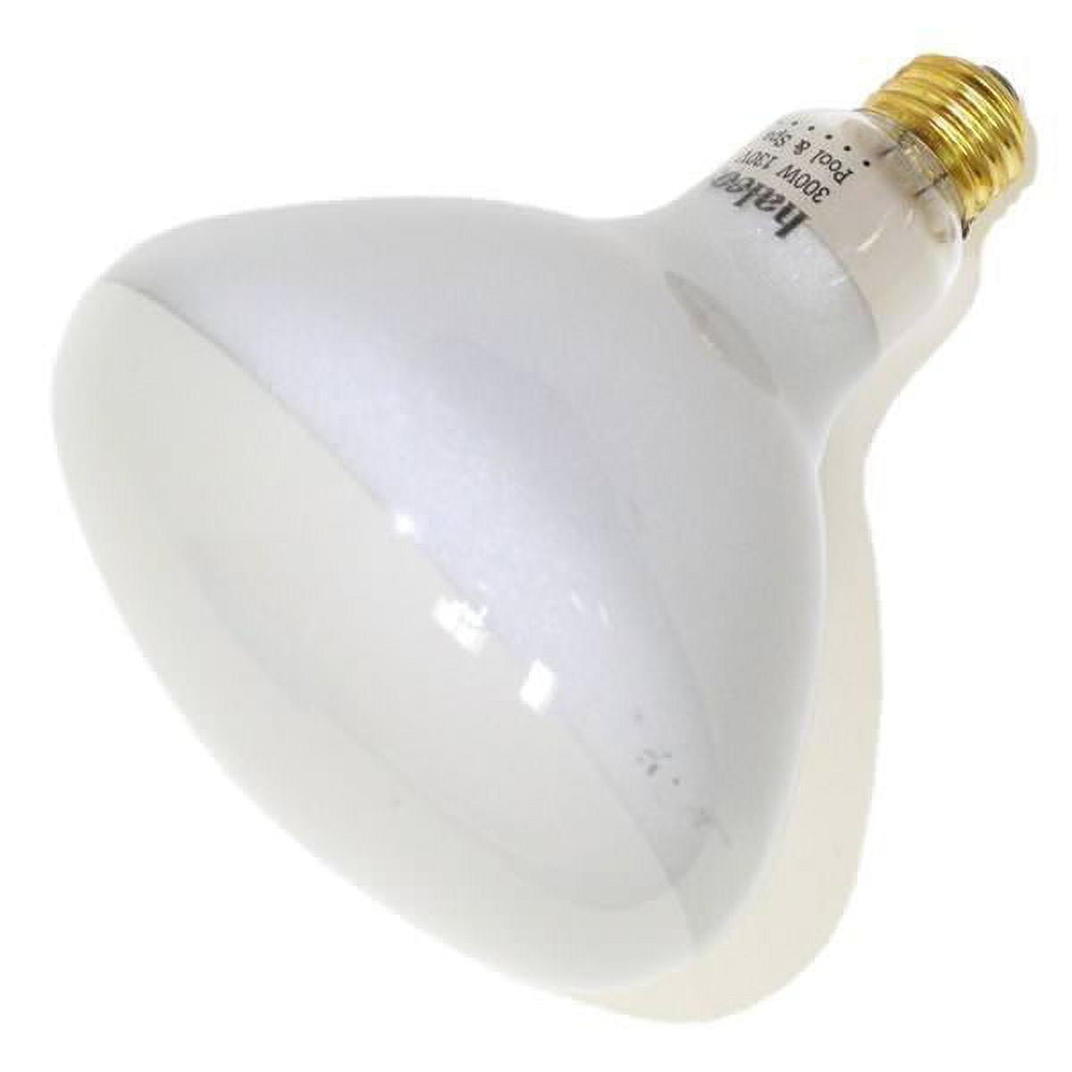 Halco Lighting Replacement Amerlite Bulb 300W, 120V, R40 Base 104035 ...