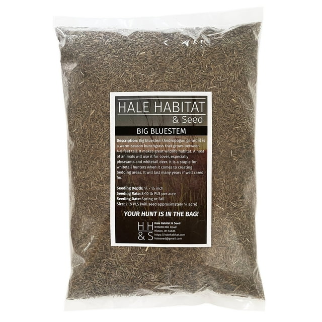 Hale Habitat & Seed Big Bluestem Native Grass Seed, Deer & Wildlife ...