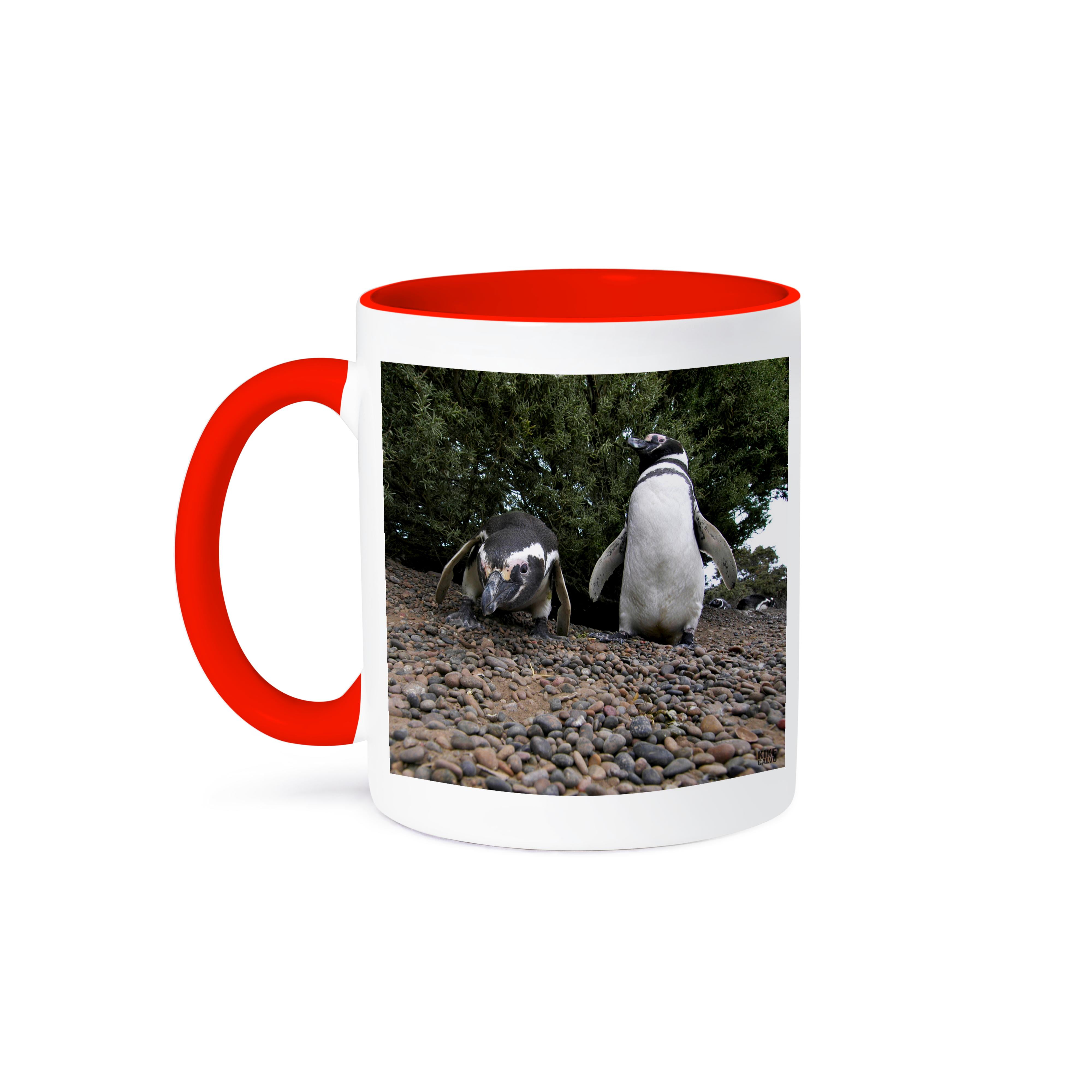 Half A Million Magellanic Penguins Arrive At The Patagonia Coasts In ...